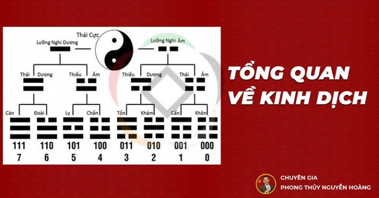 Tự học kinh dịch: Hướng dẫn lộ trình cơ bản từ A đến Z